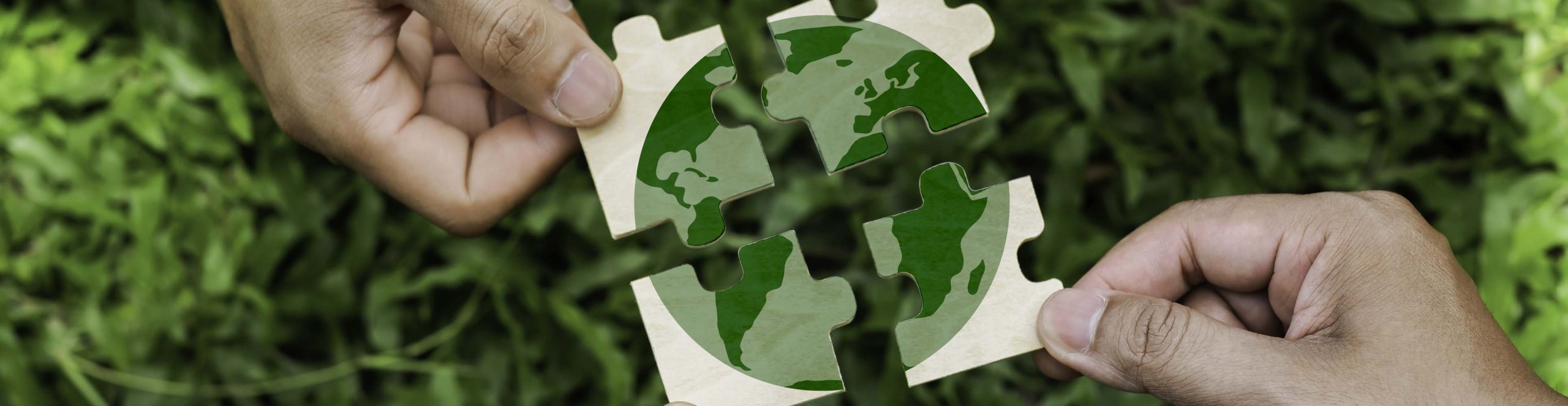 Food Policy + International Development - World Food Policy Center